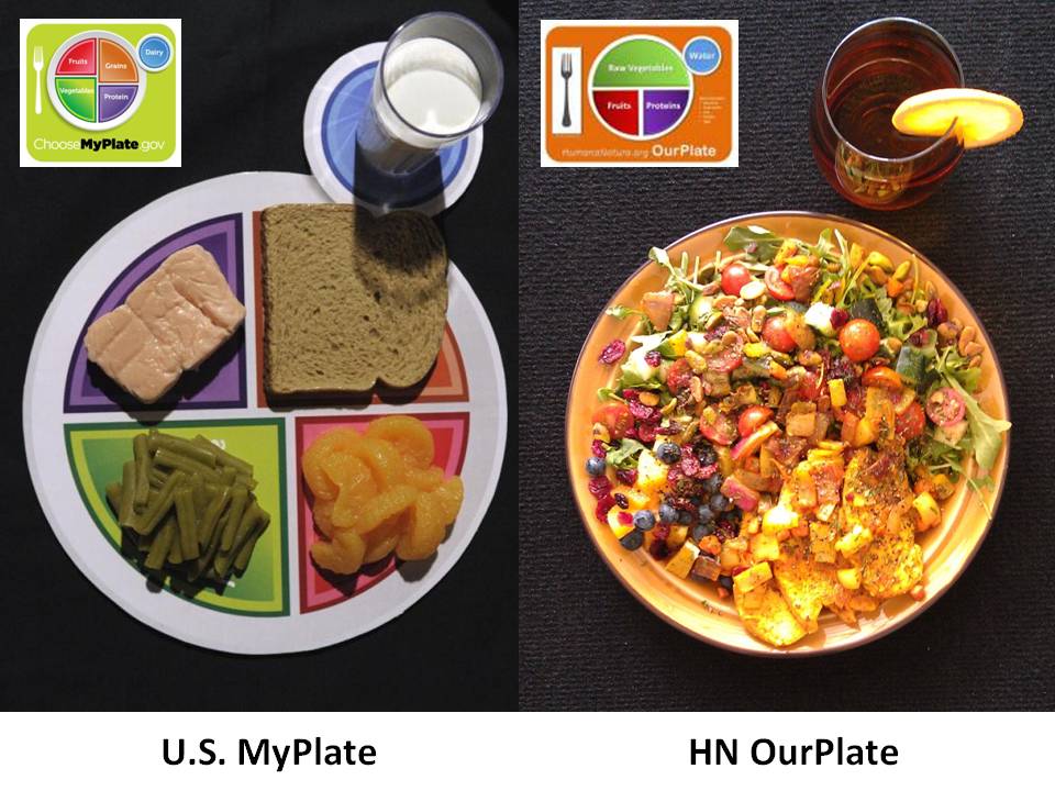 Match-Up: OurPlate vs. MyPlate – HumanaNatura