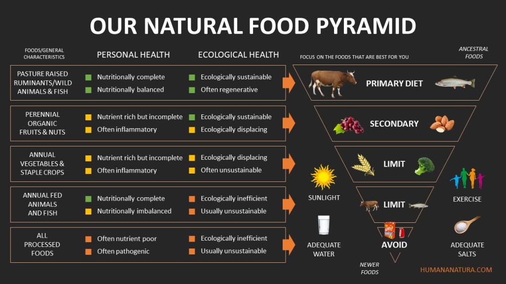 Our Natural Food Pyramid – HumanaNatura