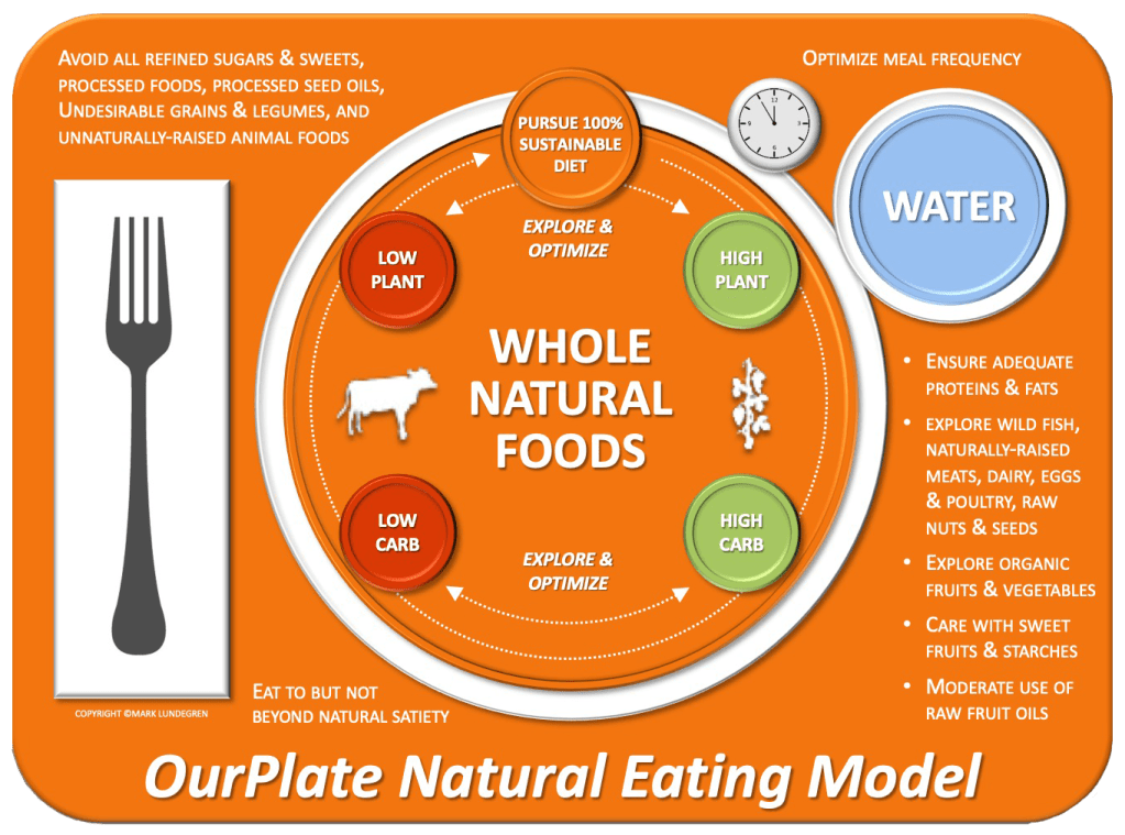 OurPlate: Healthy Eating Made Easy – HumanaNatura